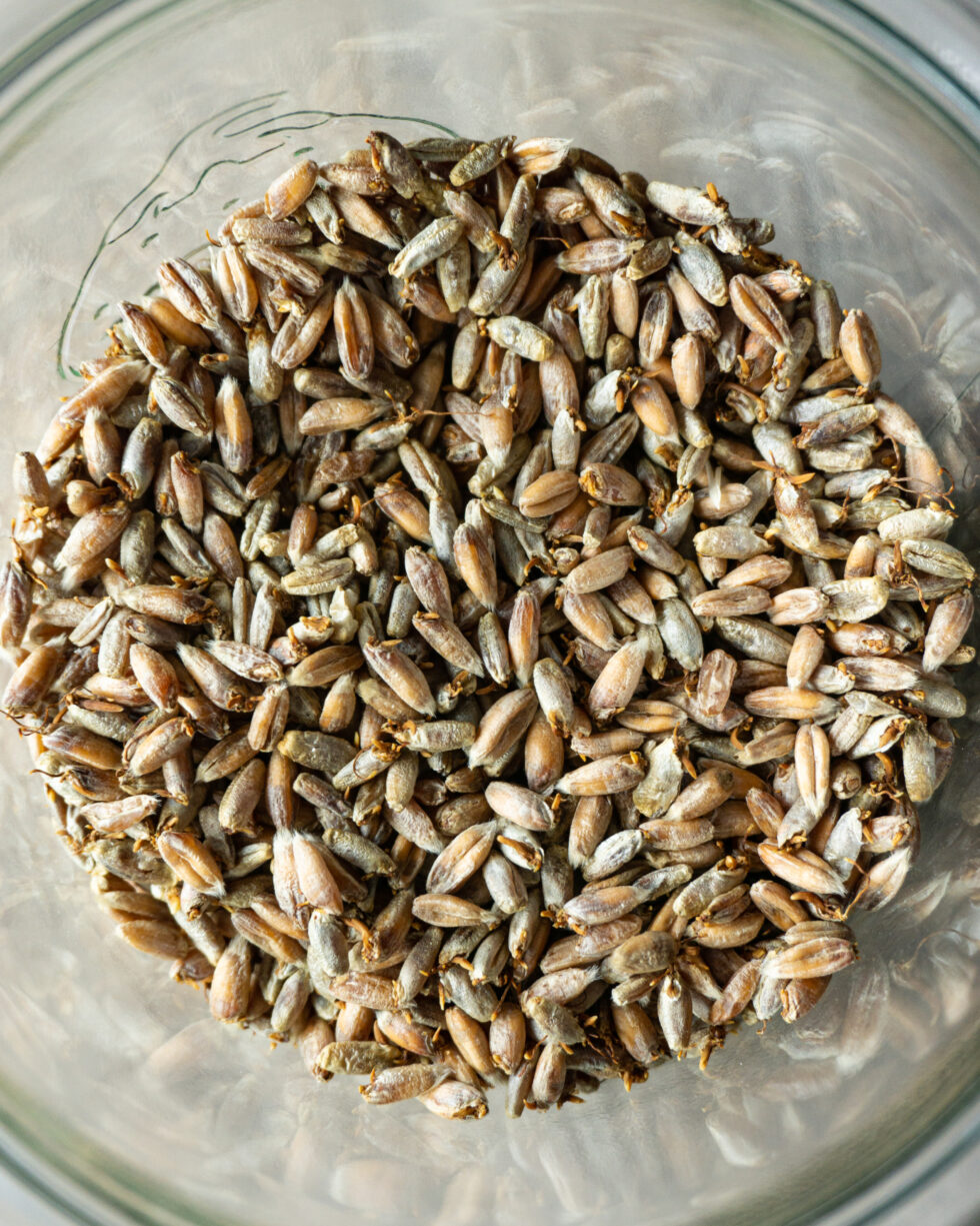 Backmalz selber machen - enzymaktiv und enzyminaktiv - Meal Puzzle ...